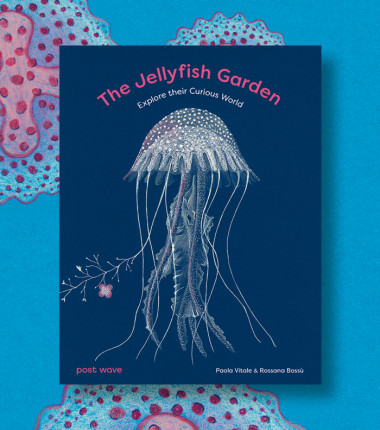 Post Wave Children's Books | Read, Dream, Discover