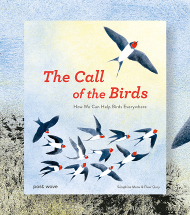 Post Wave Children's Books | Read, Dream, Discover