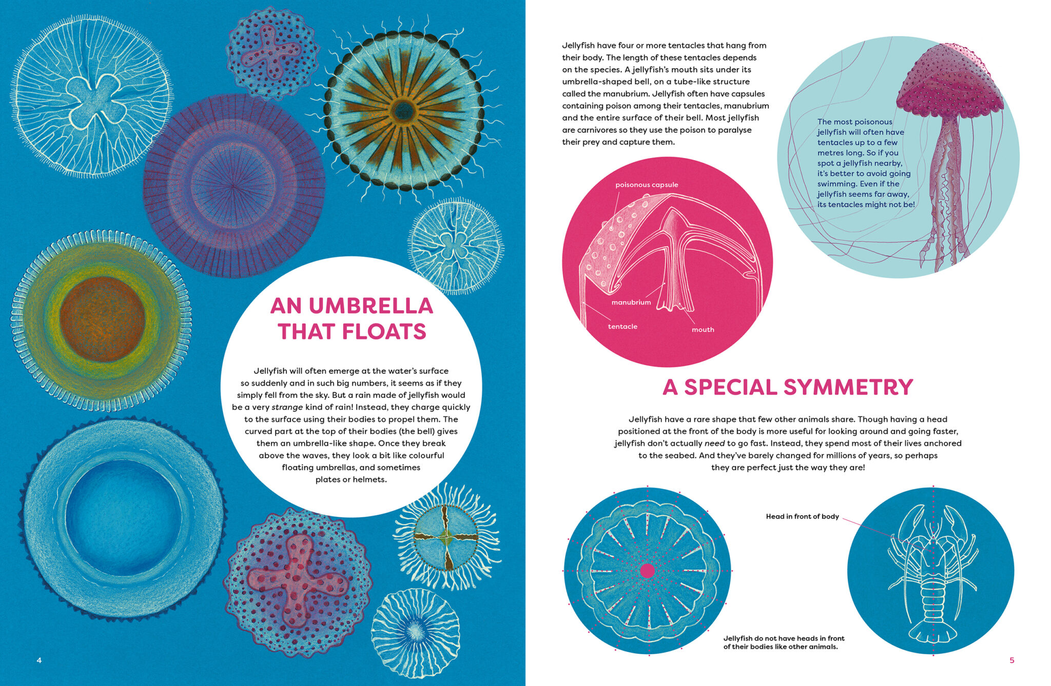 The Jellyfish Garden | Post Wave Children's Books - UK