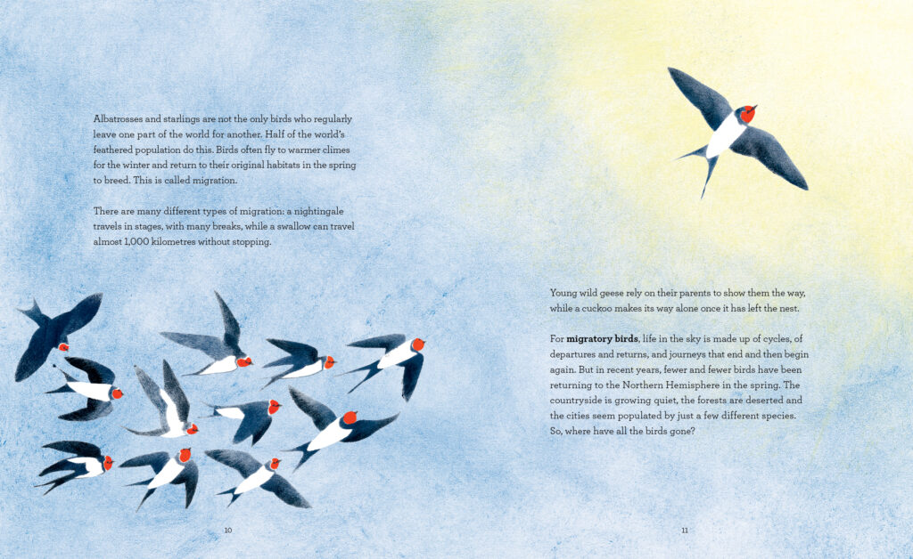 The Call of the Birds | Post Wave Children's Books - UK