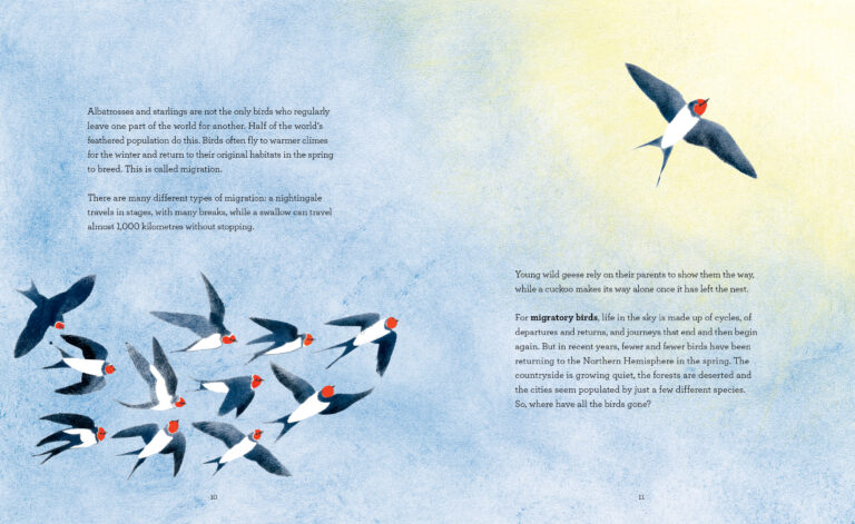The Call of the Birds | Post Wave Children's Books - UK