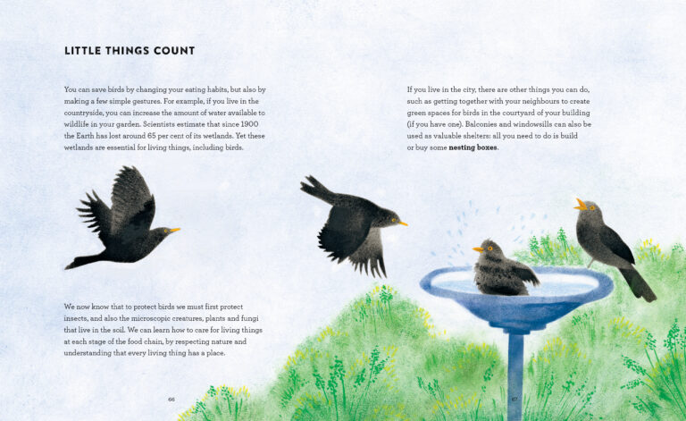 The Call of the Birds | Post Wave Children's Books - UK