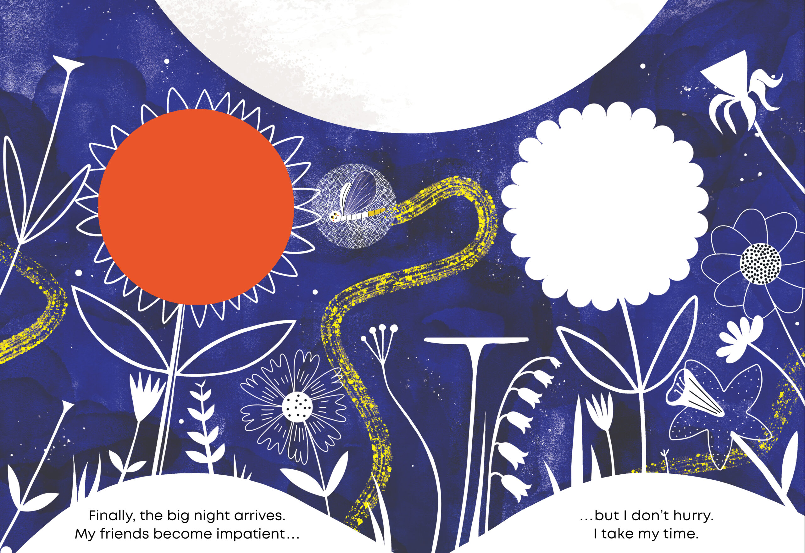 Little Seed | Post Wave Children's Books
