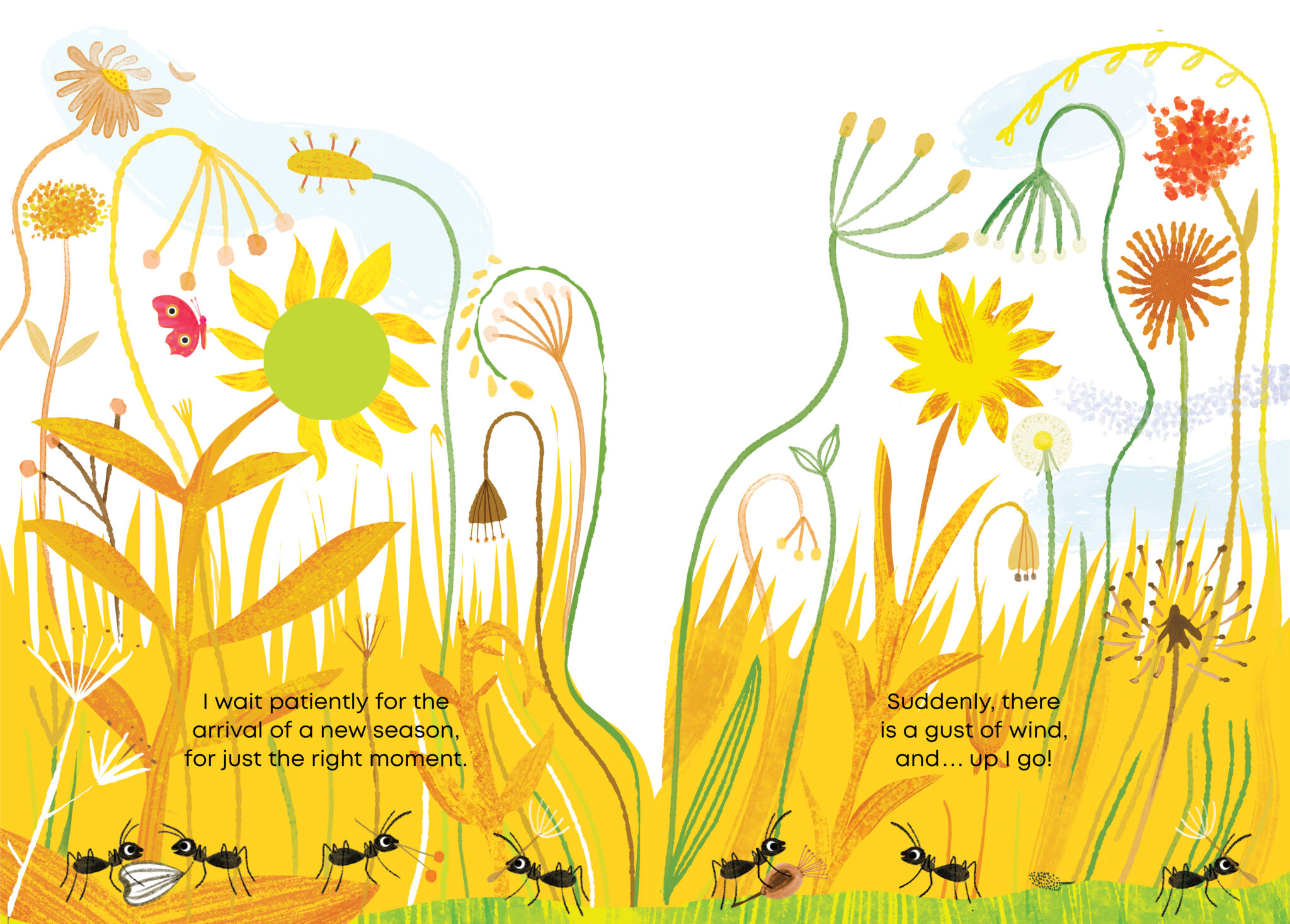 Little Seed | Post Wave Children's Books - UK