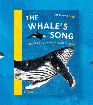 Post Wave Children's Books - UK | Read, Dream, Discover